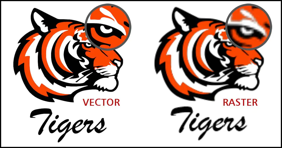 What Is a Vector Logo | Explained